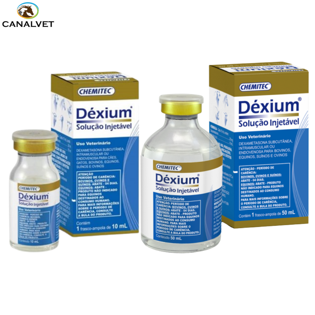 Dexametasona Injetável 10mg Preço - RETOEDU