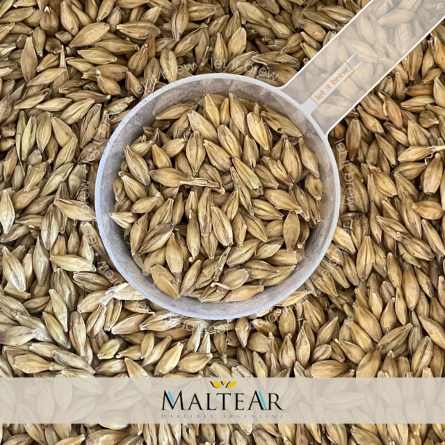 MALTE PILSEN • MALTEAR - Comprar em LET IT BREW
