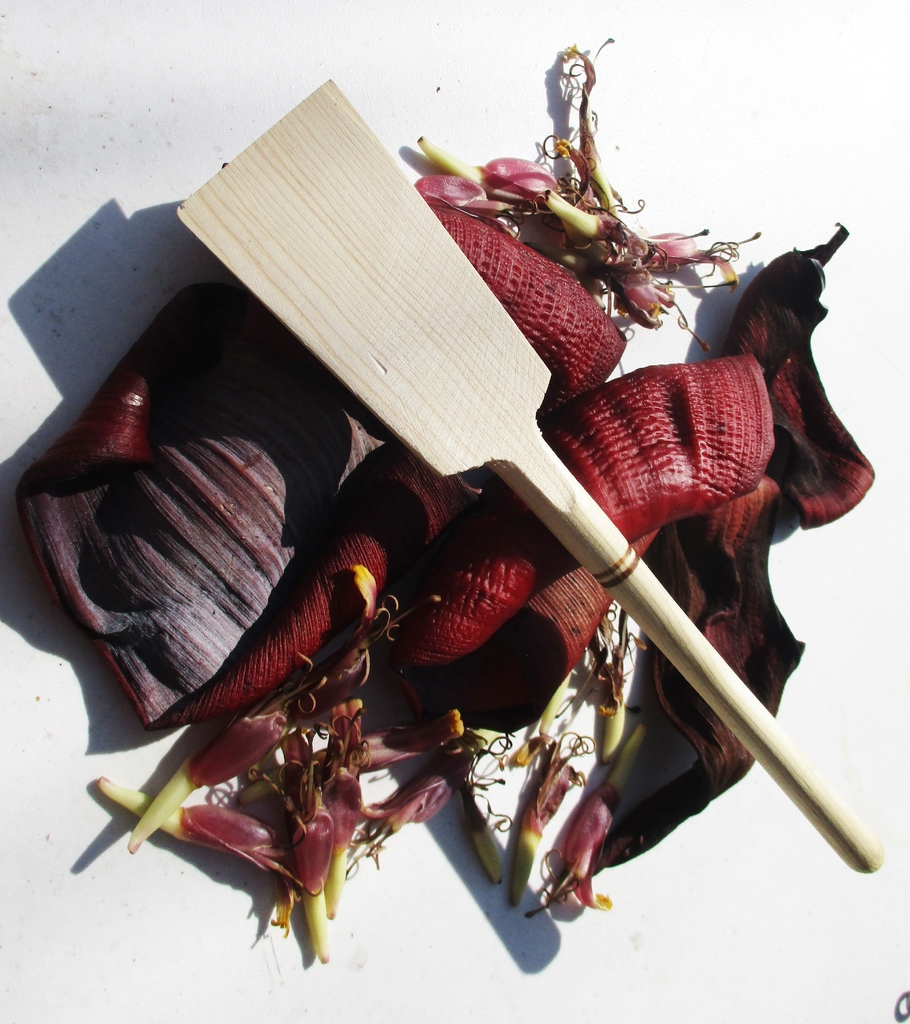 Pala de madera para cocina - Verso por el planeta