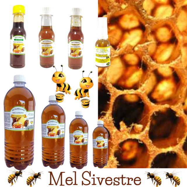 Mel com Alho e Gengibre - Produto Original da Amazônia - 100% Natural ...