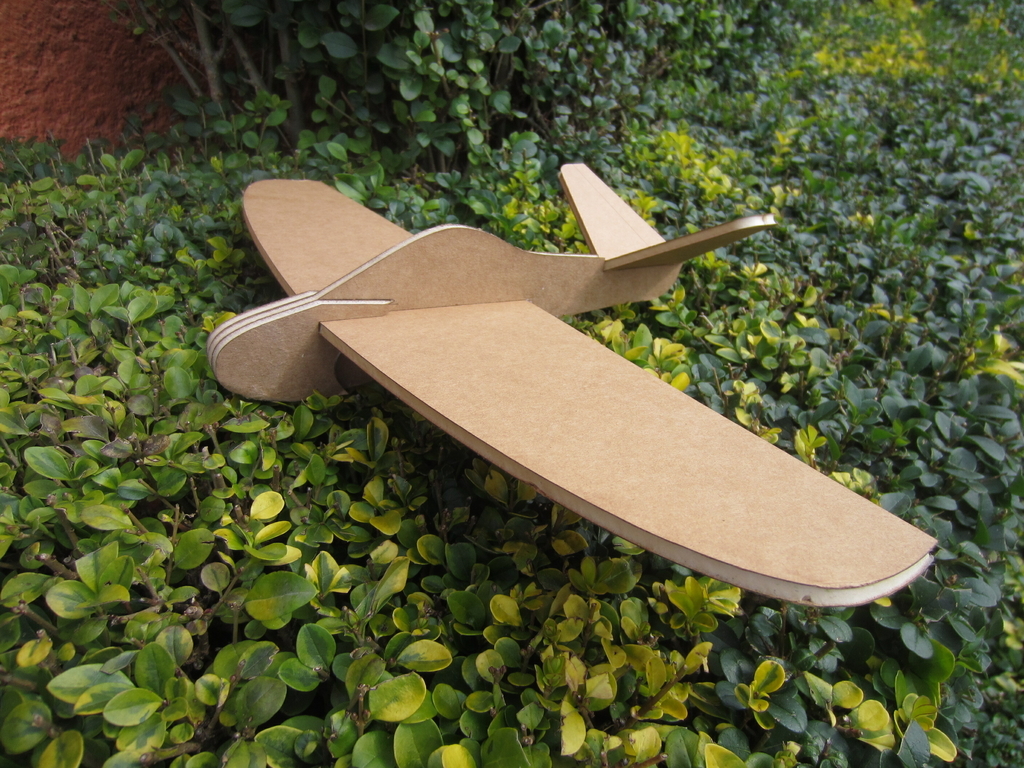 Planeador de juguete Anka Nanous Aircraft