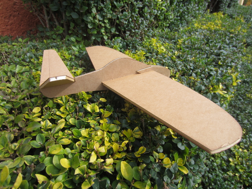 Planeador de juguete Anka Nanous Aircraft