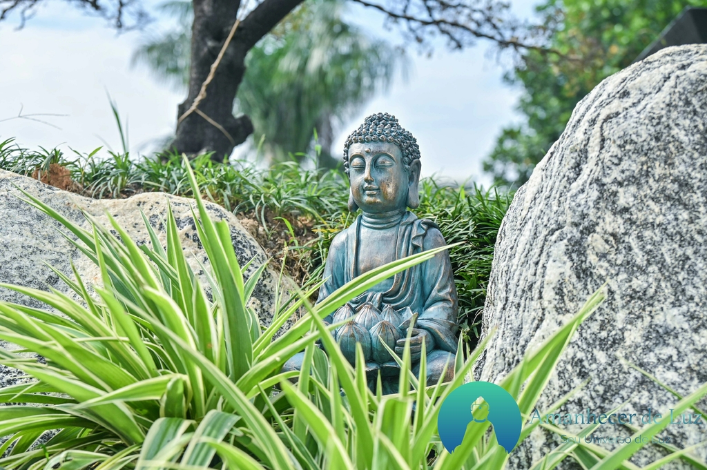 Escultura em Resina Buda Luz Solar Jardinagem Flor de Lotus