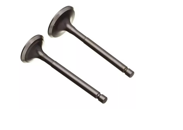 VALVULA DE ADMISSÃO E ESCAPE TOP BIKE / TOPLET / TOPTRAIL 49CC