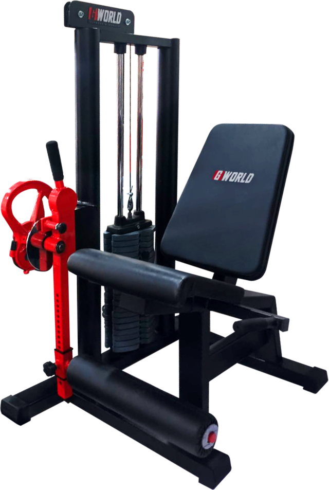 Sillón de cuadriceps con lingotera