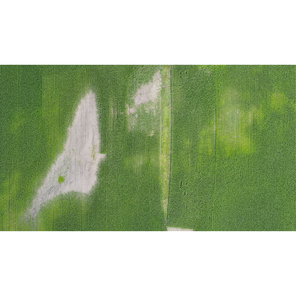 PIX4Dfields - Comprar en runco