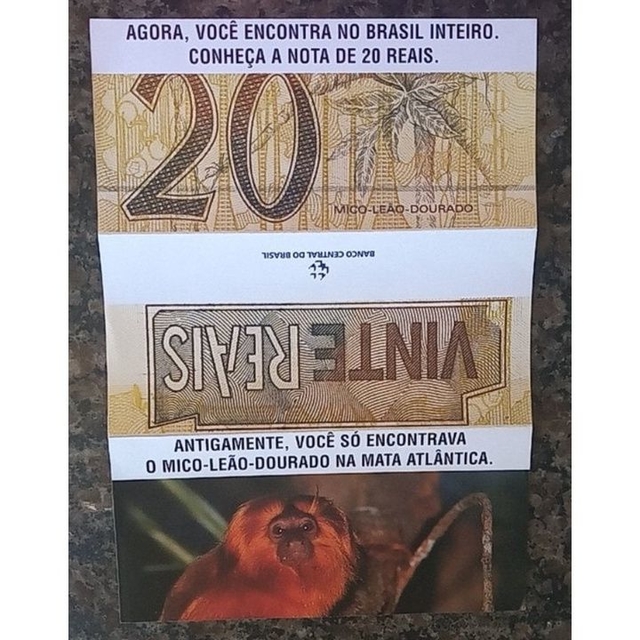 Folder do BCB da cédula de 20 reais, Mico Leão Dourado.