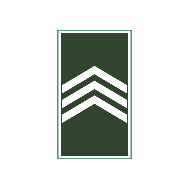 Divisa Emborrachada 3° SGT - EB | Atacado Militar