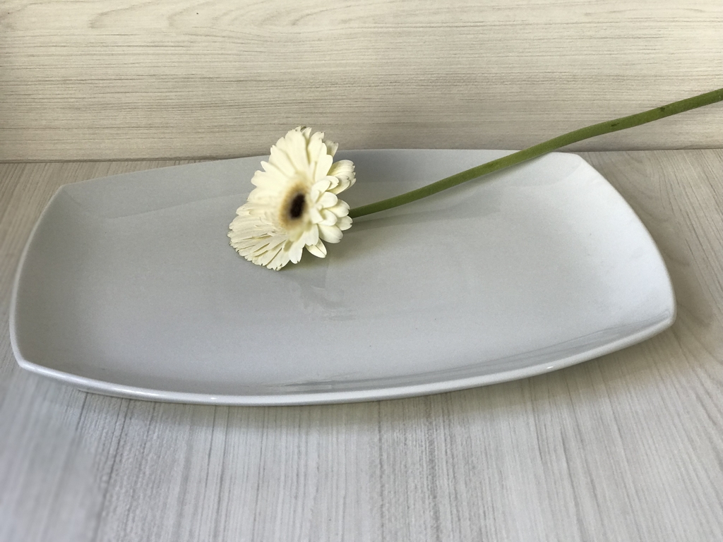 Fuente Rectangular Grande - Comprar en Nice Kitchen