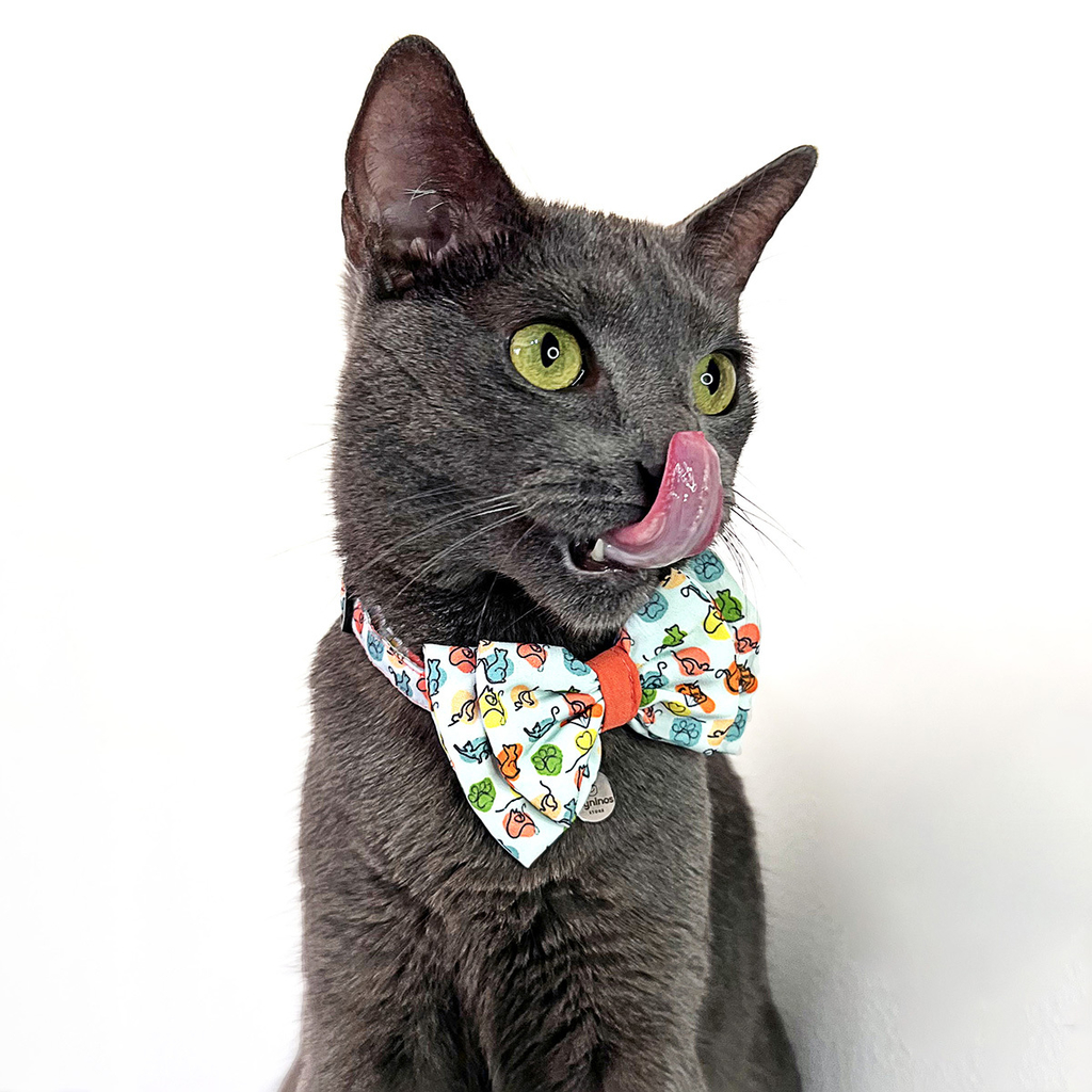 Corbatín Para Gatos Cats - Myninos Store