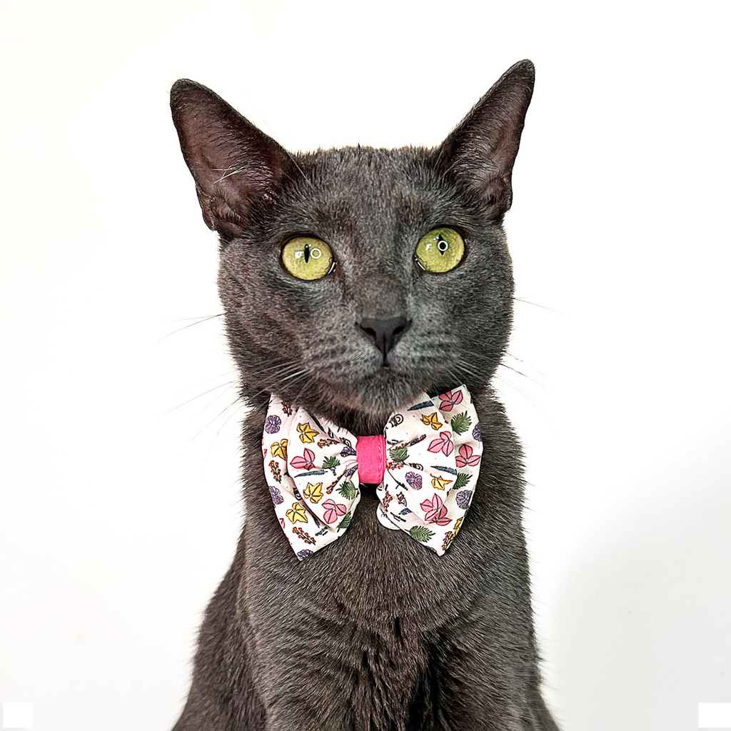 Corbatín Para Gatos Flores - Myninos Store