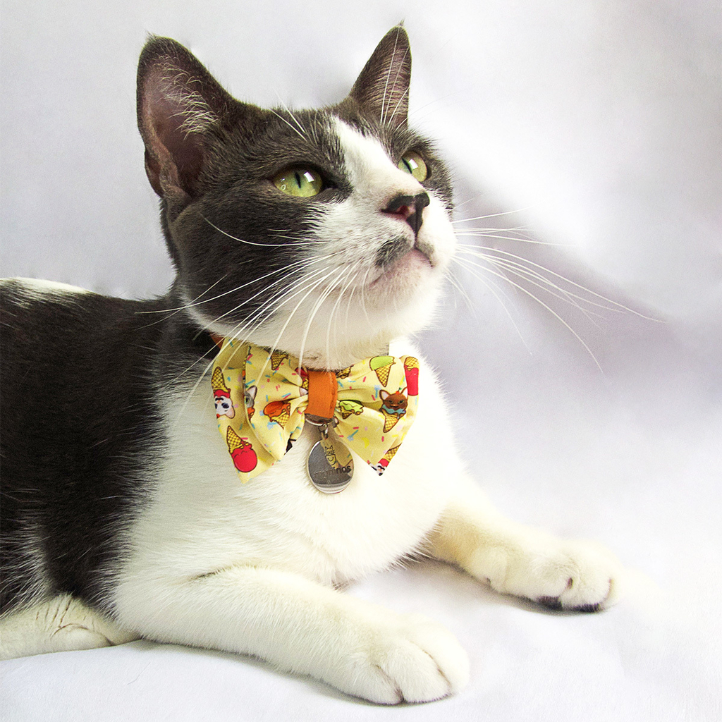 Corbatín Para Gatos - Myninos Store