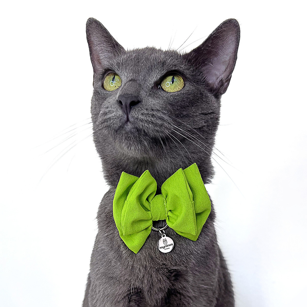 Corbatín Para Gatos Verde - Myninos Store