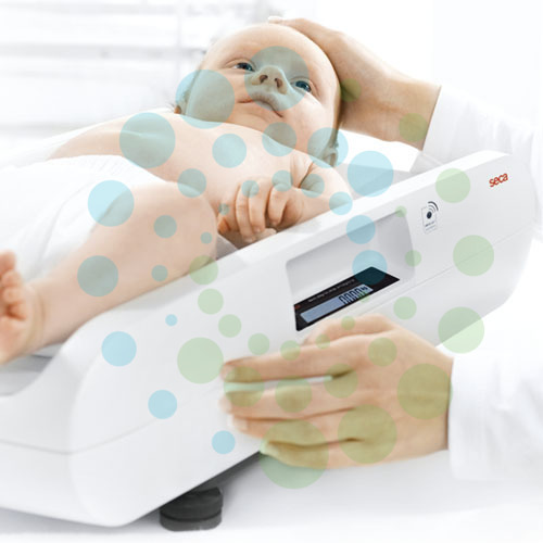 seca basculas medicas