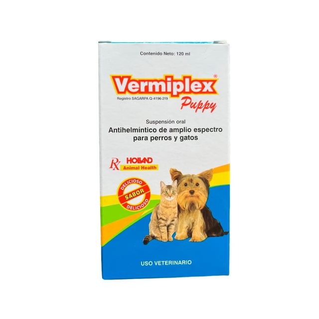 VERMIPLEX SUSPENSION 120 ML