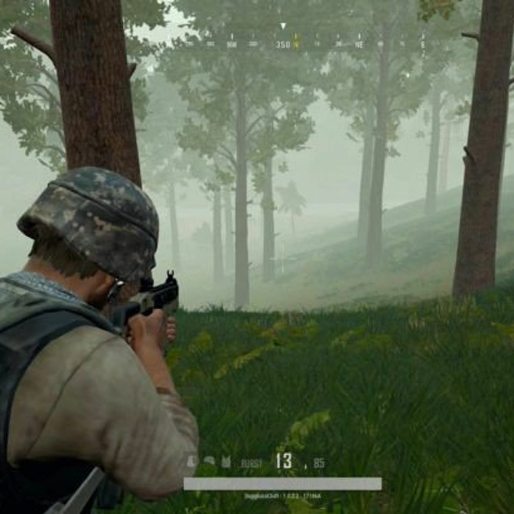 Pugb Playerunknown's Battlegrounds PS4 Digital Primario