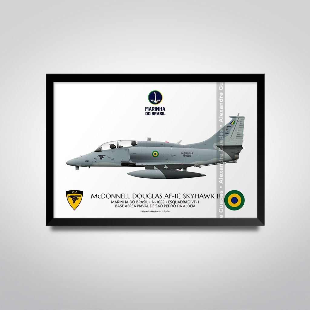 Poster de Avião