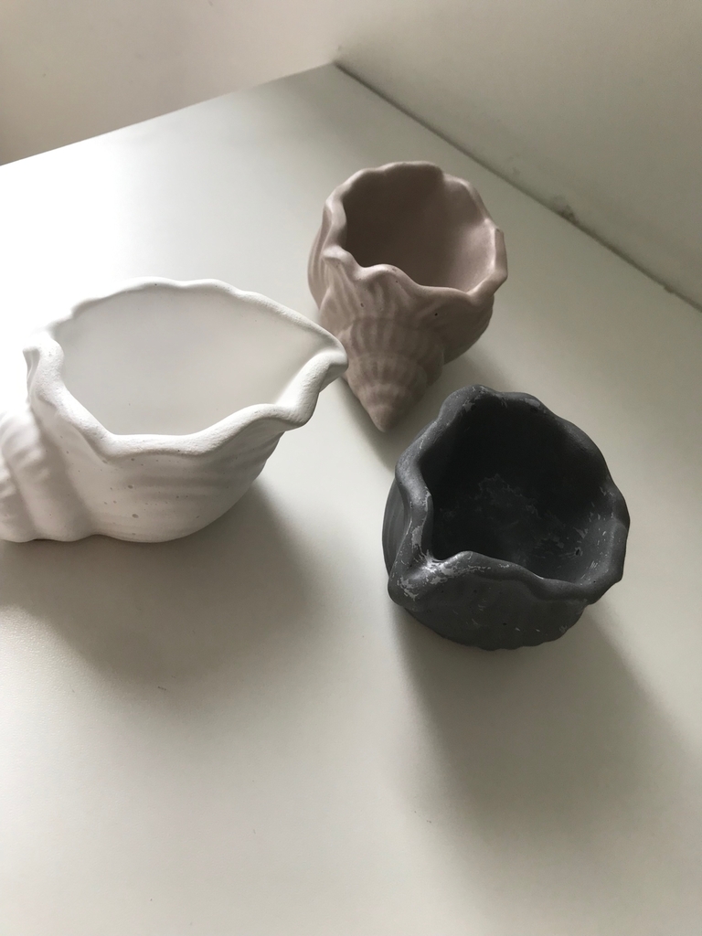 Concha Espiral - Comprar em Gray Design