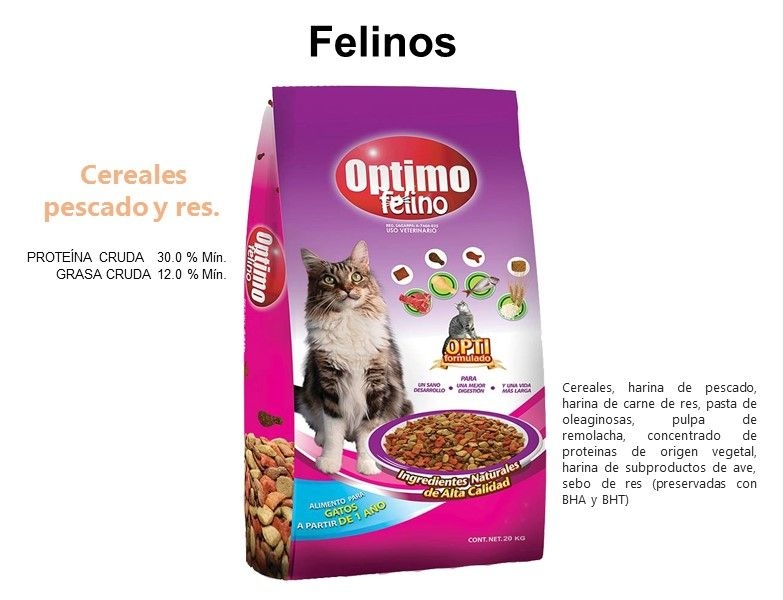 Optimo felino