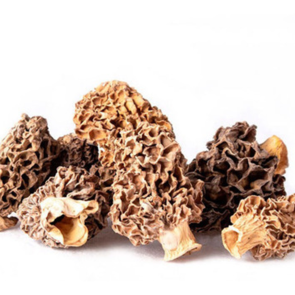 Hongo morilla deshidratado