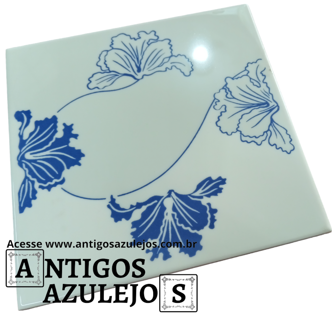 Azulejo Antigo Cecrisa 15x15 Ref: AA45