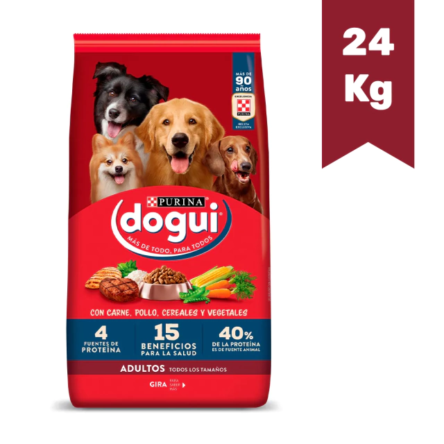 DOGUI PERRO ADULTO x 21Kg