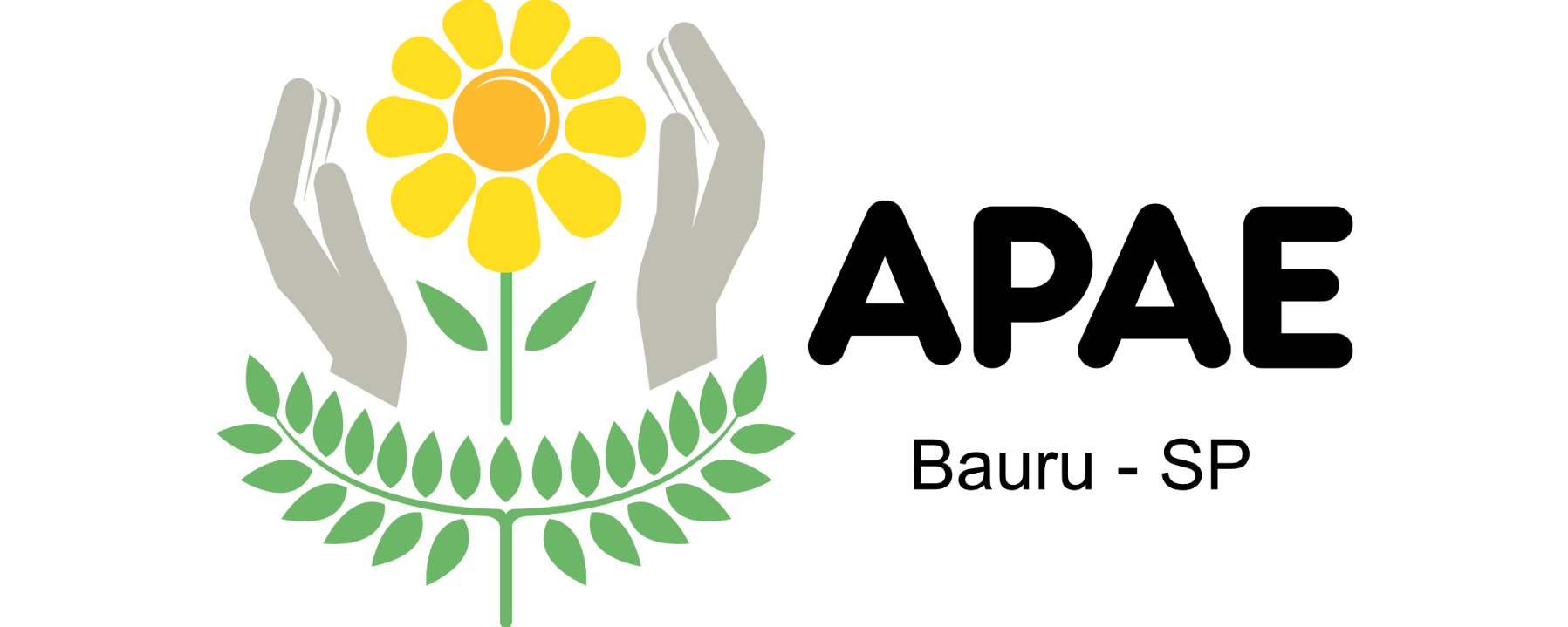 Loja online de Apae Bauru