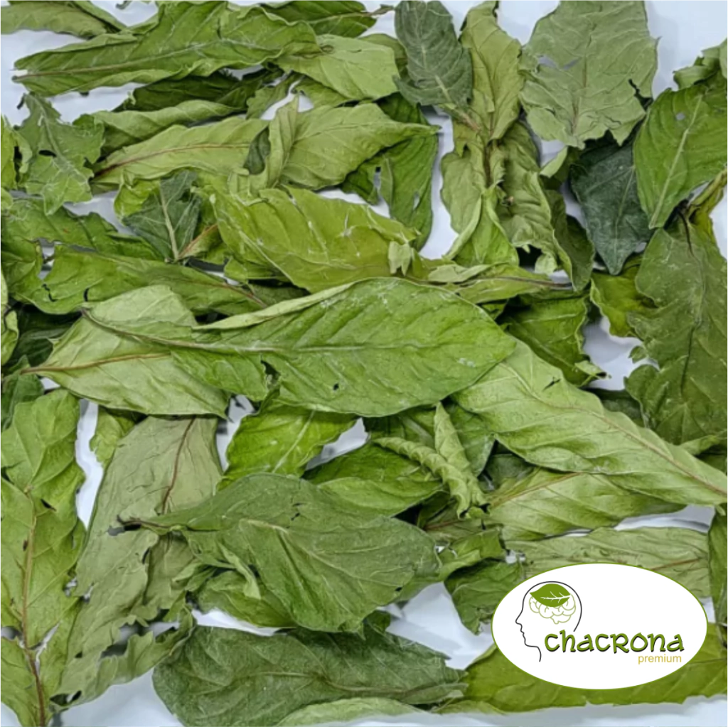 Chacrona Premium - (cópia) - Chacrona Premium