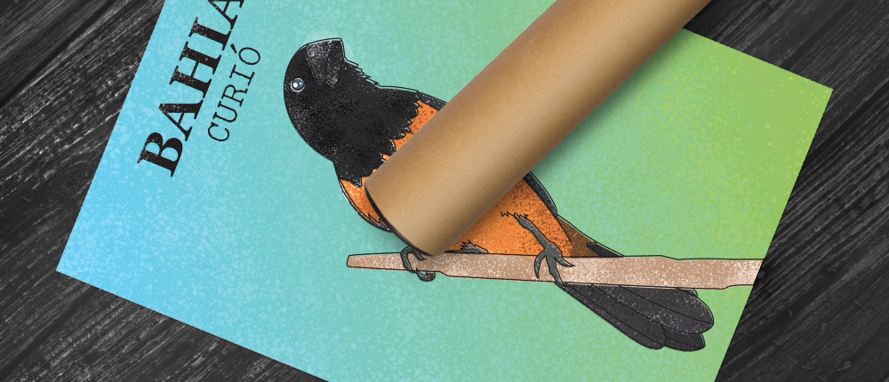 Pôster Curió | Highland Restaurações