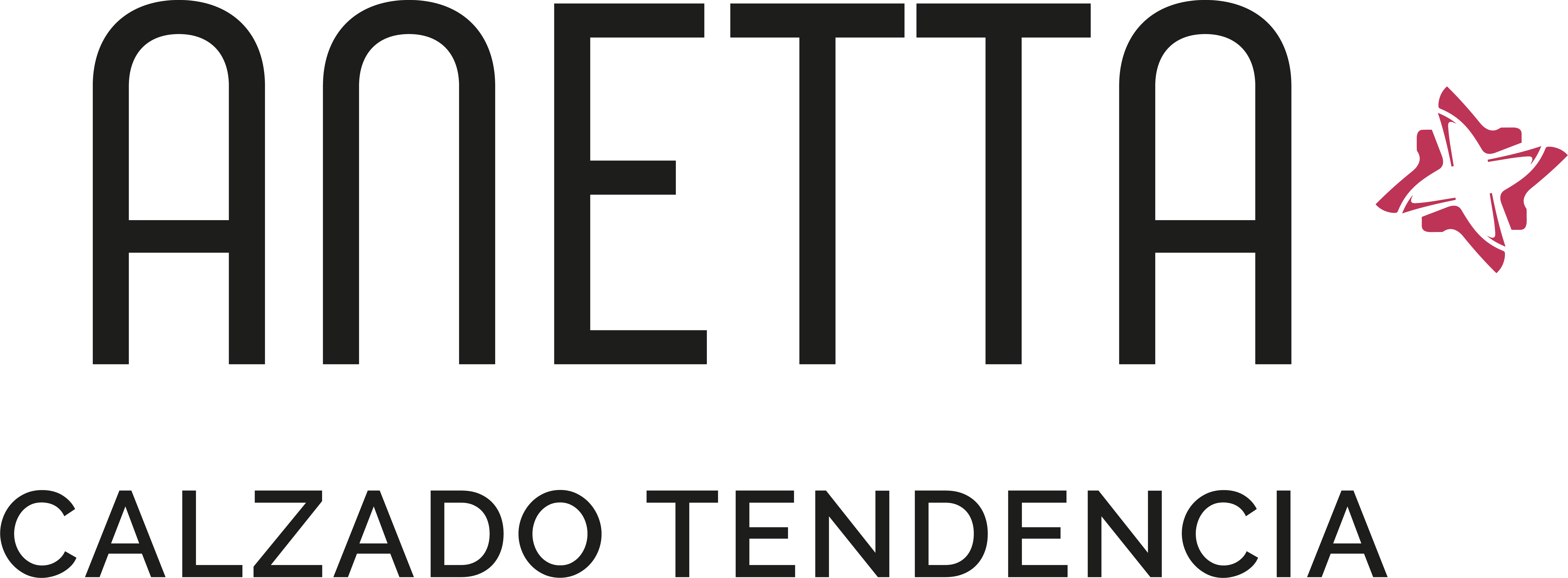 Tienda en línea de Anetta