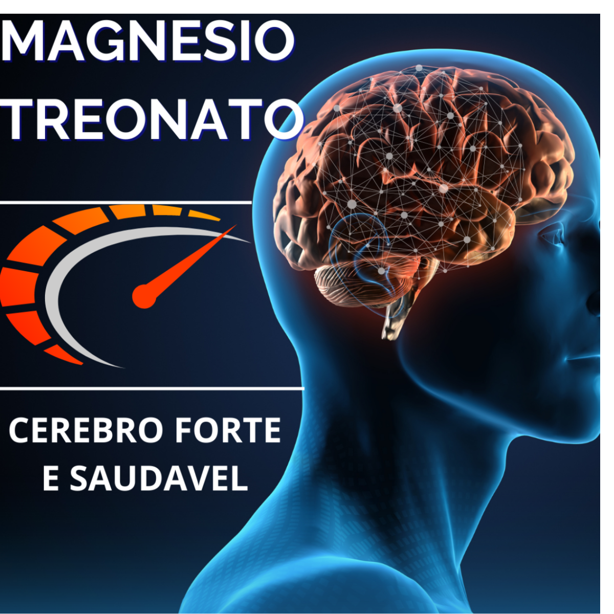 Magnesio Treonato 500 Mg 60 Capsulas