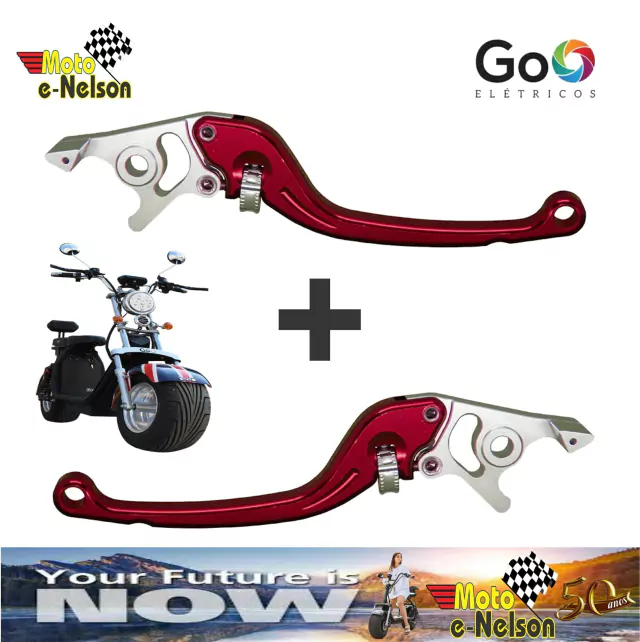 Manete de Freio Alumínio Kit Para Scooter Elétrica Citycoco GoO Todo