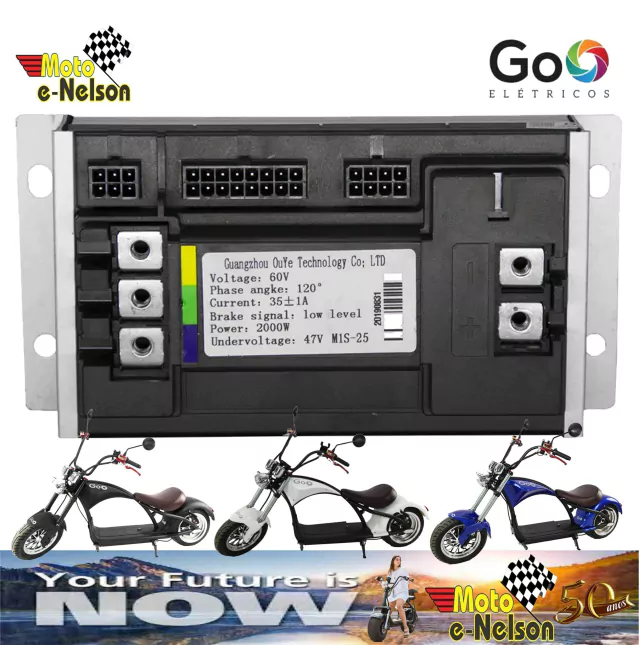 Modulo controlador para scooter elétrica citycoco chopper x14 - 2000w