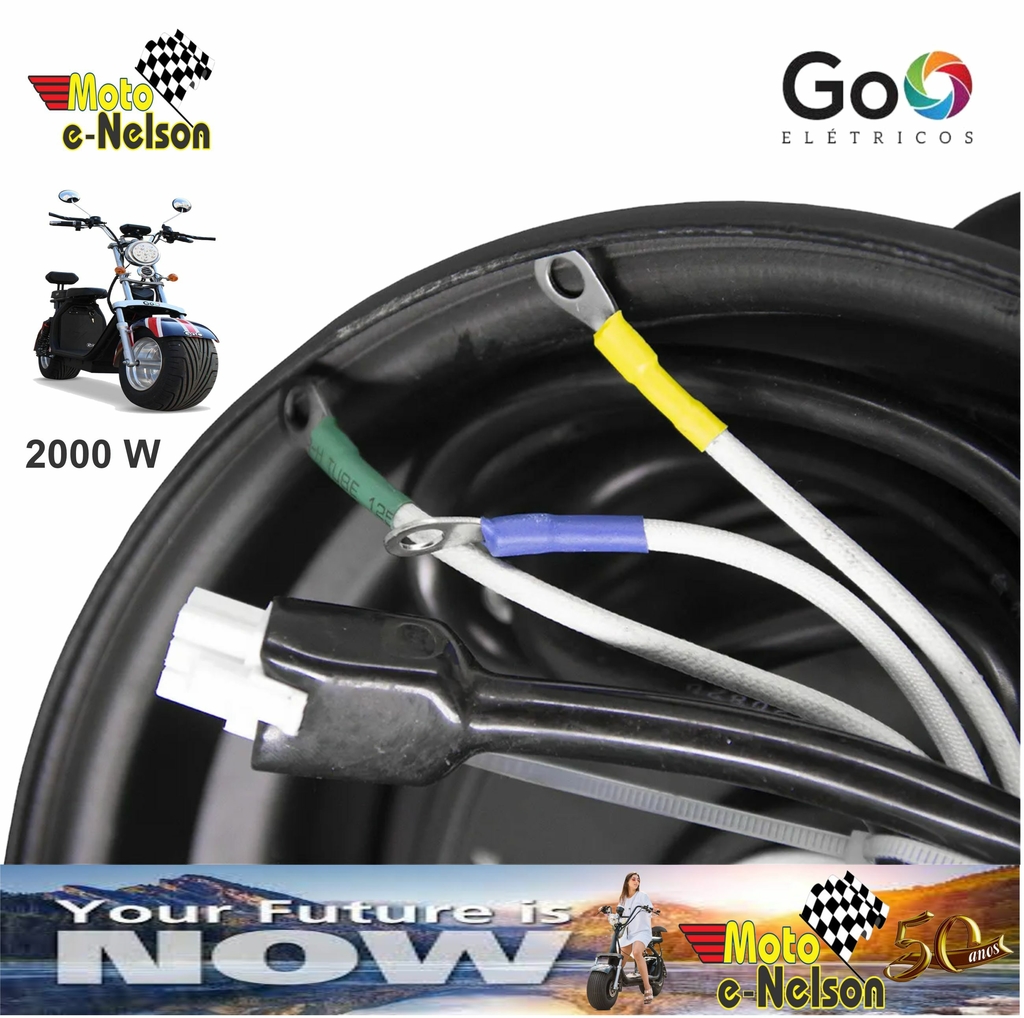 Motor Elétrico para Scooter Elétrica Citycoco 2000W 8"