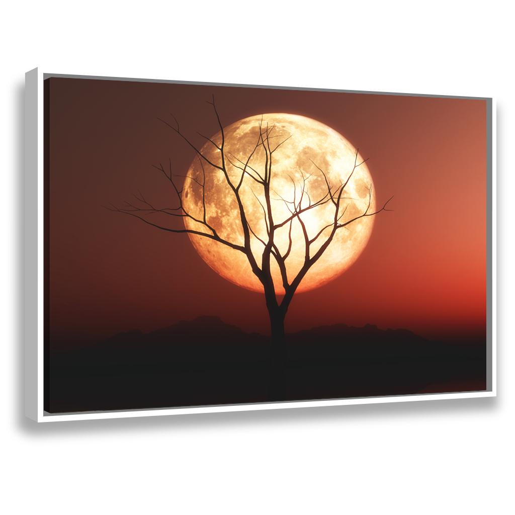 Lua no Sertão - Visual Quadros