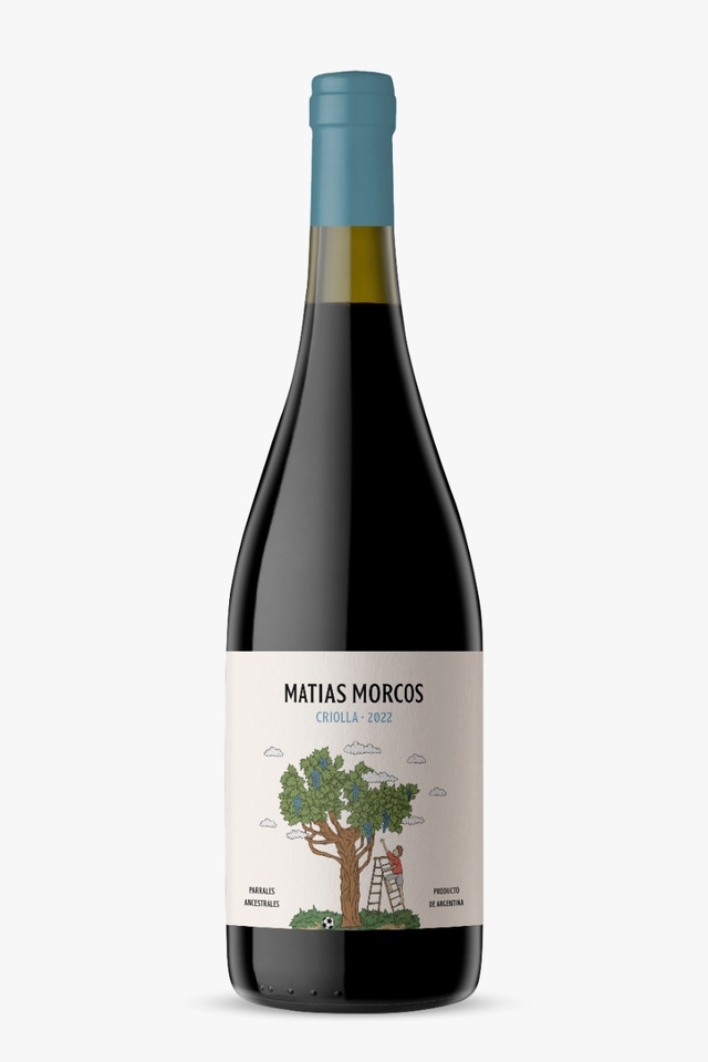 MATÍAS MORCOS - CRIOLLA 2022 - Comprar en INICIO WINES