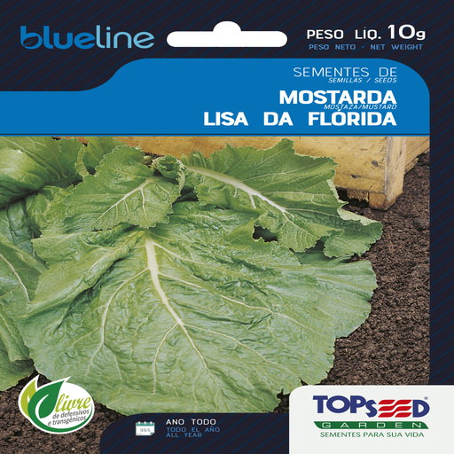 MOSTARDA LISA FLORIDA