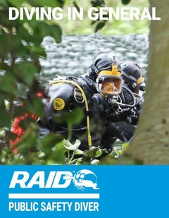RAID Brasil