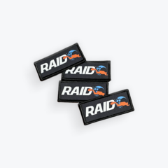 RAID Brasil