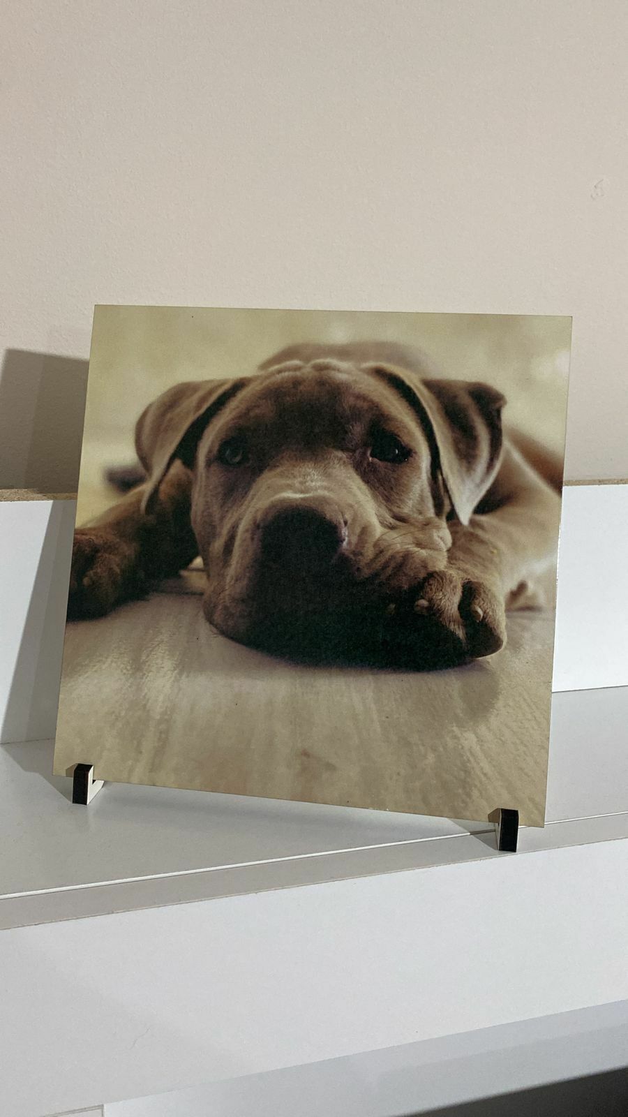 Quadro MDF 20x20 - Comprar em Amia Store