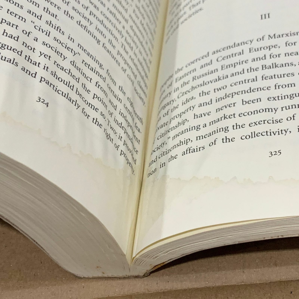 LIVRO THE VIRTUE OF CIVILITY - EDWARD SHILS