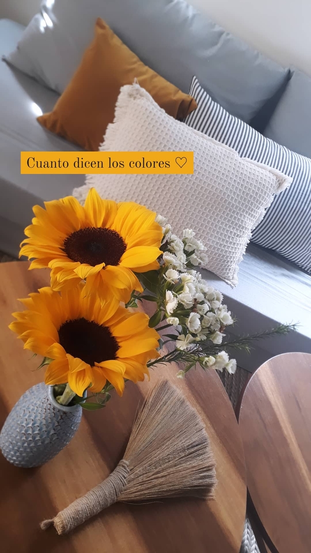 Almohadón Tejido Natural - Comprar en Ale Romero decó