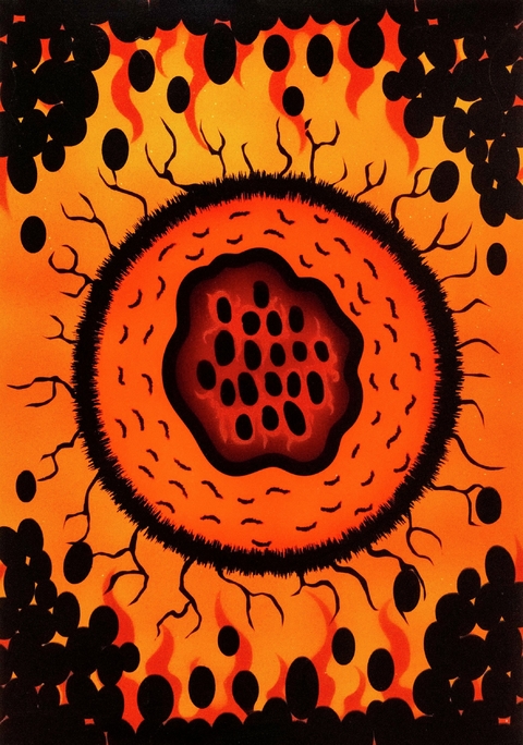 Comprar Julieta Marasas en The White Lodge