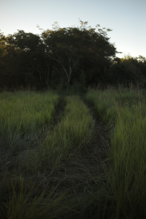 Engañoso mundo simbólico I . Tributo al Monte - Ignacio Fanti