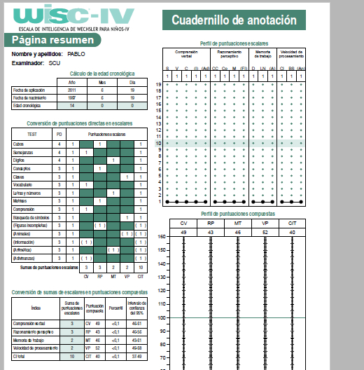 TEST WISC IV REPORTE PLUS