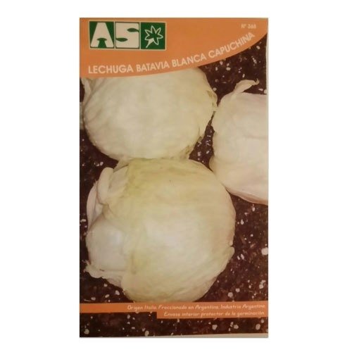 Semillas de Lechuga blanca capuchina AS - La Retama