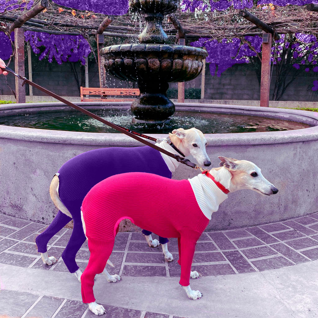 GP Pet Wear Atelier Gente Peludinha