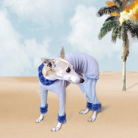 GP Pet Wear Atelier Gente Peludinha