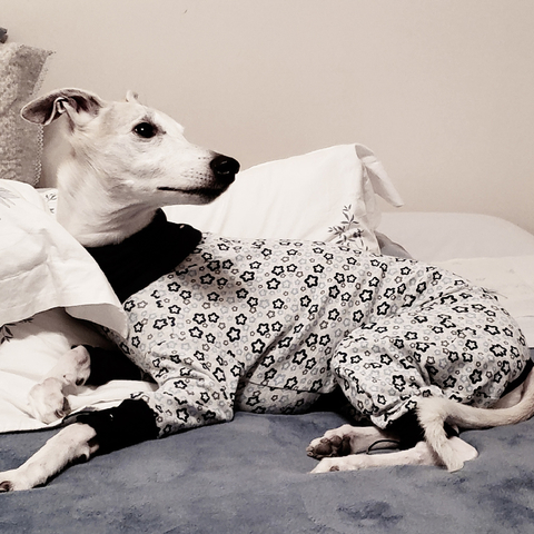 GP Pet Wear Atelier Gente Peludinha