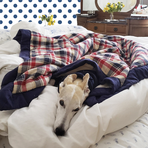 GP Pet Wear Atelier Gente Peludinha